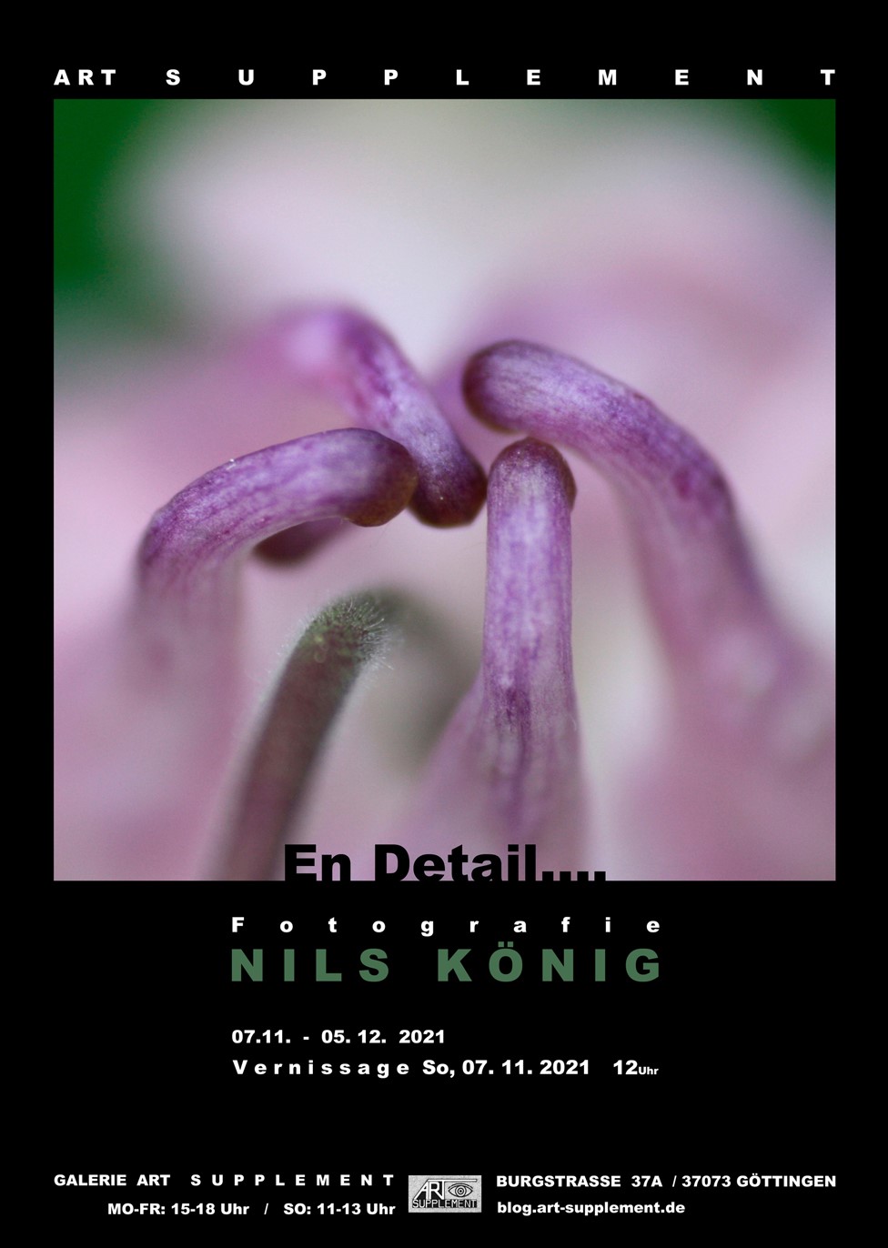 „En Detail … Muscheln, Morgentau und Metamorphosen“ | ART S U P P L E M E N T